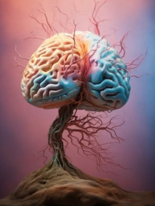 Neuroplasticity Rewire Your Beliefs Stylerug